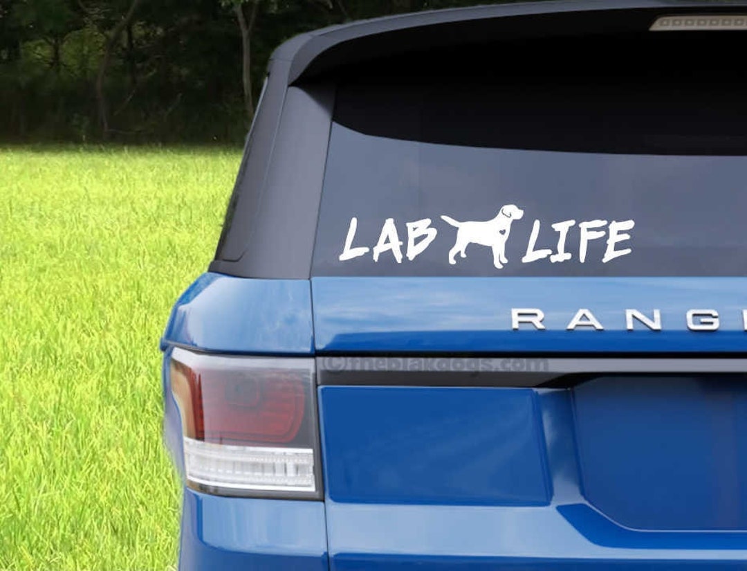 Lab Life | Window Sticker Car Decal - the Perfect Accessory for ...