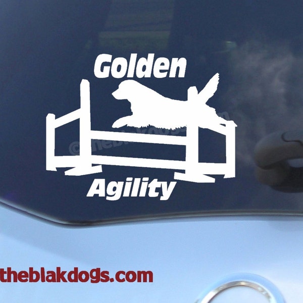 Agility Equipment - Etsy