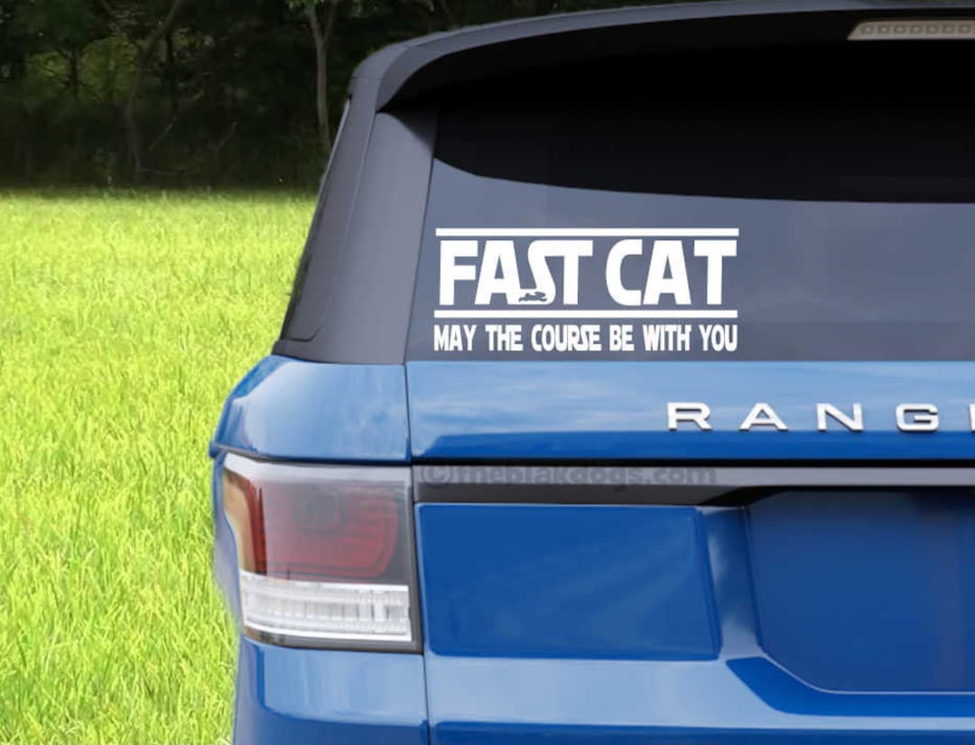 Fast Cat Vinyl Sticker Car Decal, May the Course Be With You, Long ...