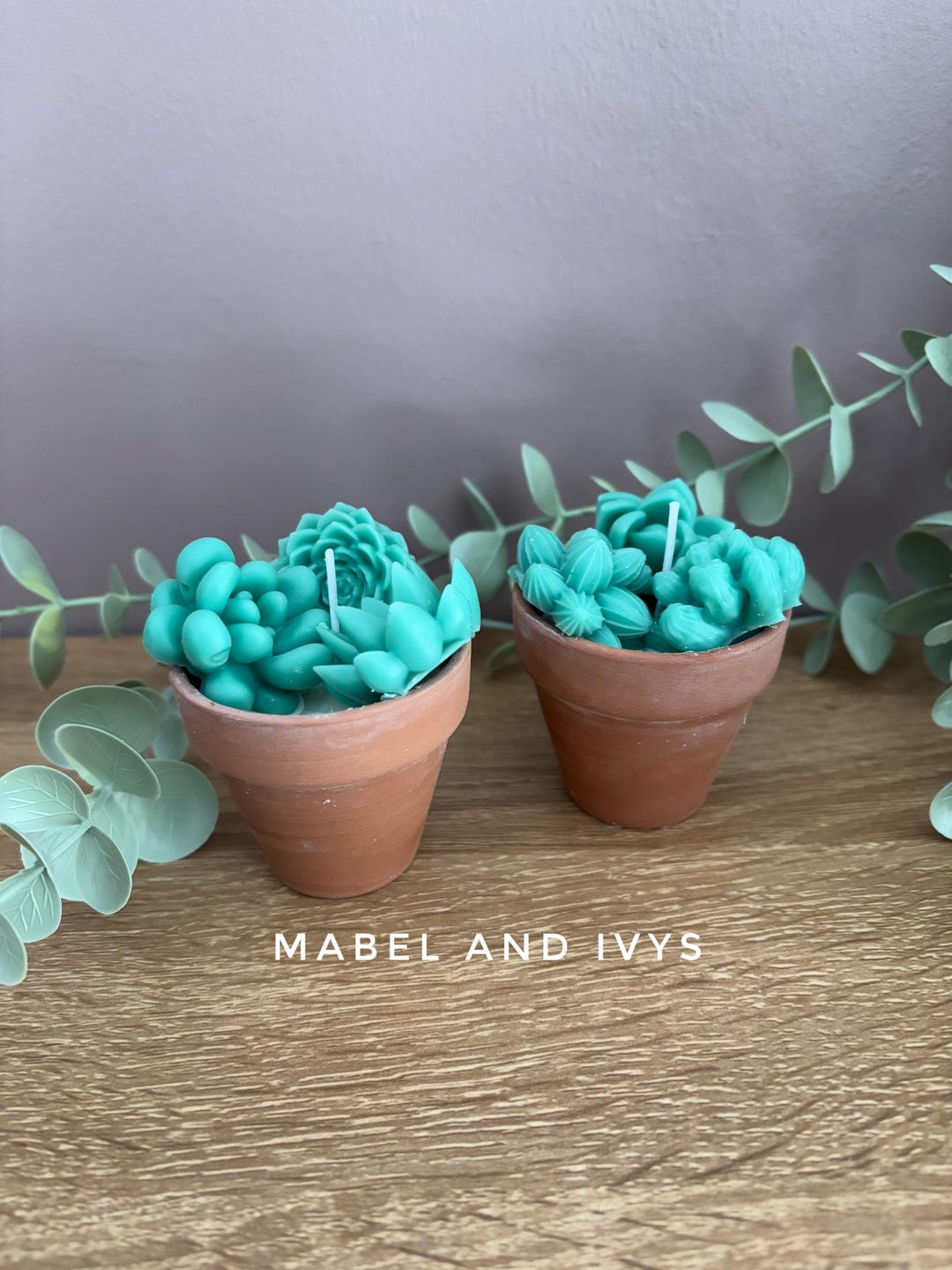 Succulent Candle Plant Pot Set Candles Unique Designed Candle Soy Wax ...