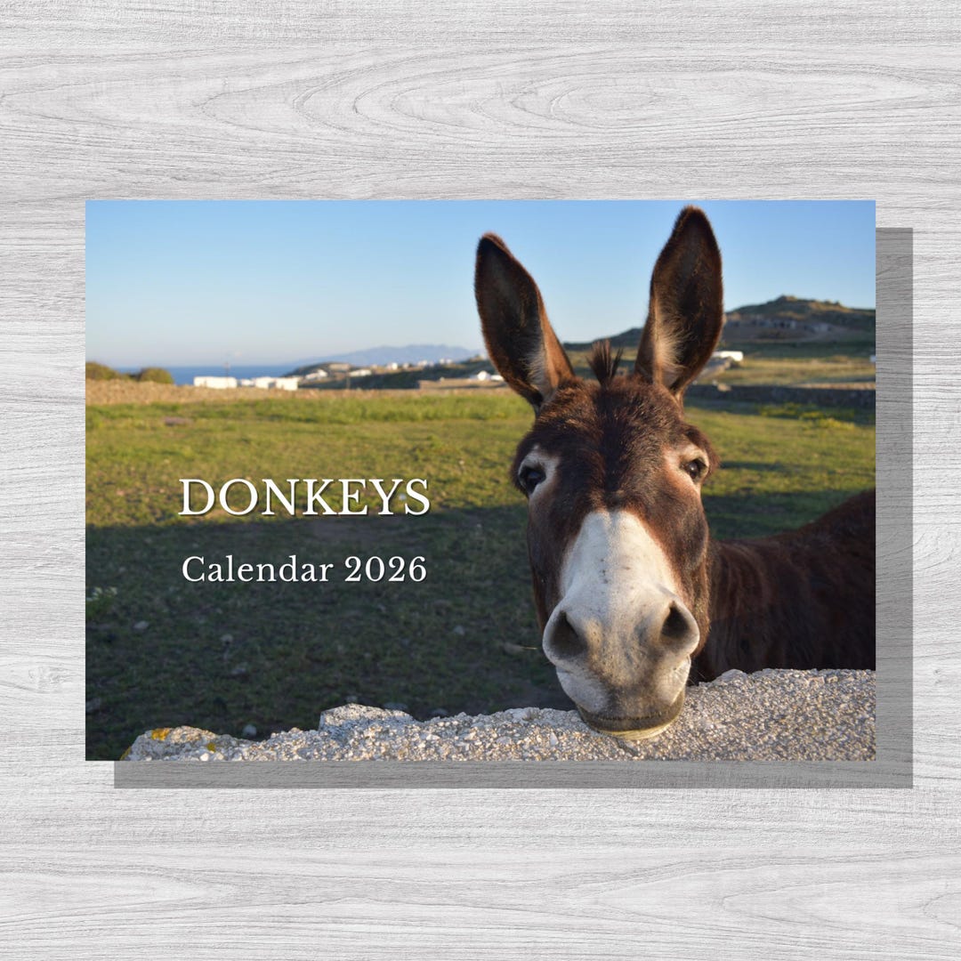 Donkeys 2026 Calendar - Etsy