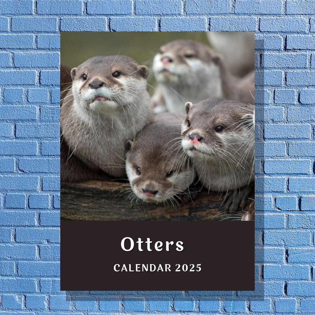 Otters 2025 Calendar - Etsy
