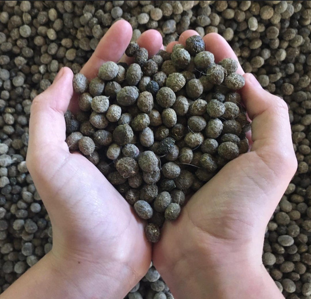 Dry Rabbit Manure Organic Fertilizer | Compost Booster & Garden Plant ...