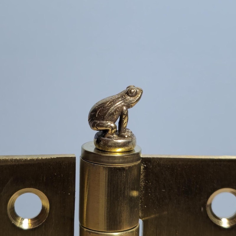 Frog Decorations for Men - Etsy