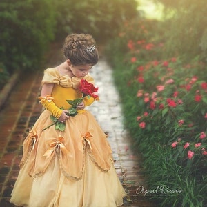 Belle Inspired Princess Dress Size 3t Ball Gown Etsy