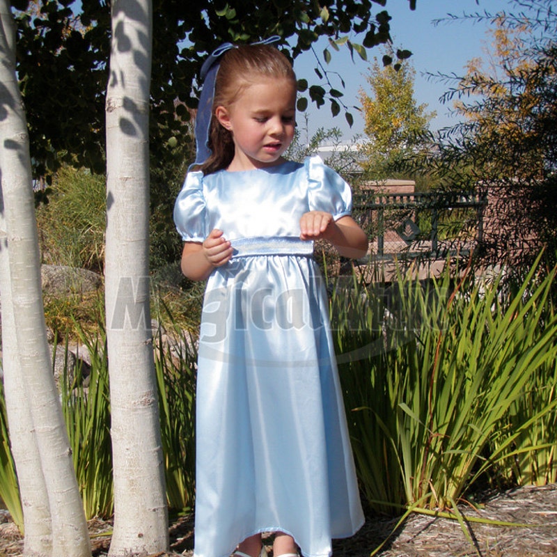 Peter Pan Wendy Costume - Etsy
