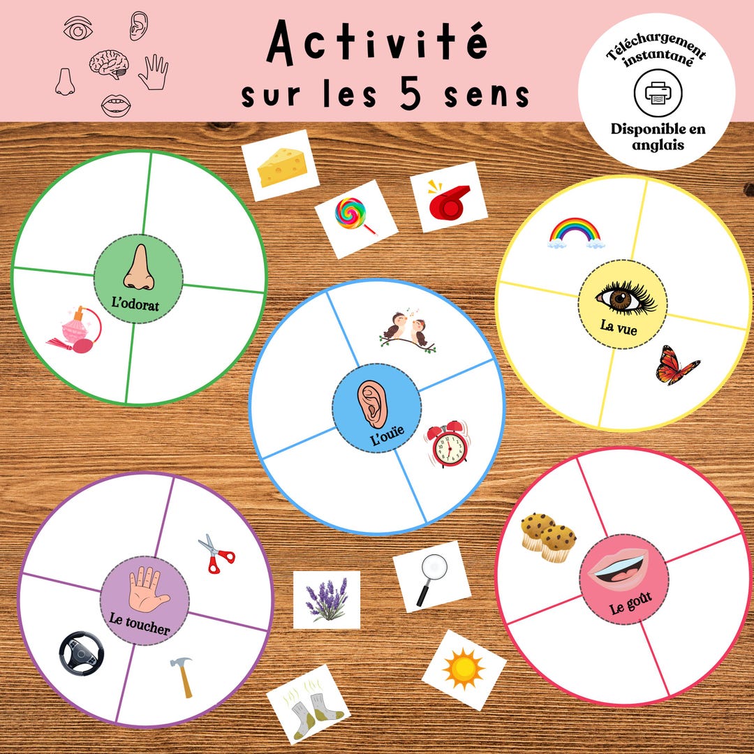 The Five Senses, the Five Senses - Etsy