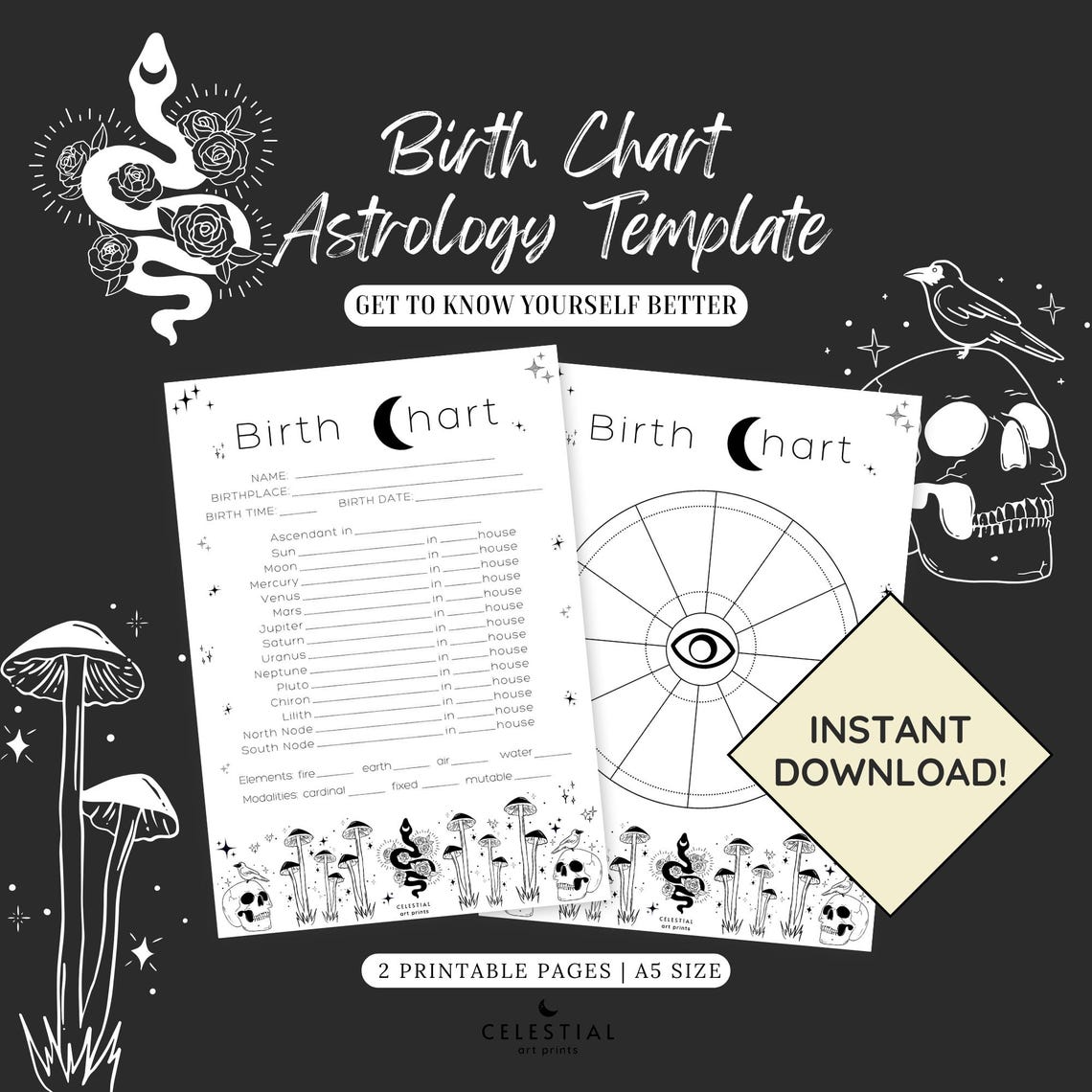 Blank Birth Chart Printable: Astrology Natal Chart Wheel (A5) - Etsy