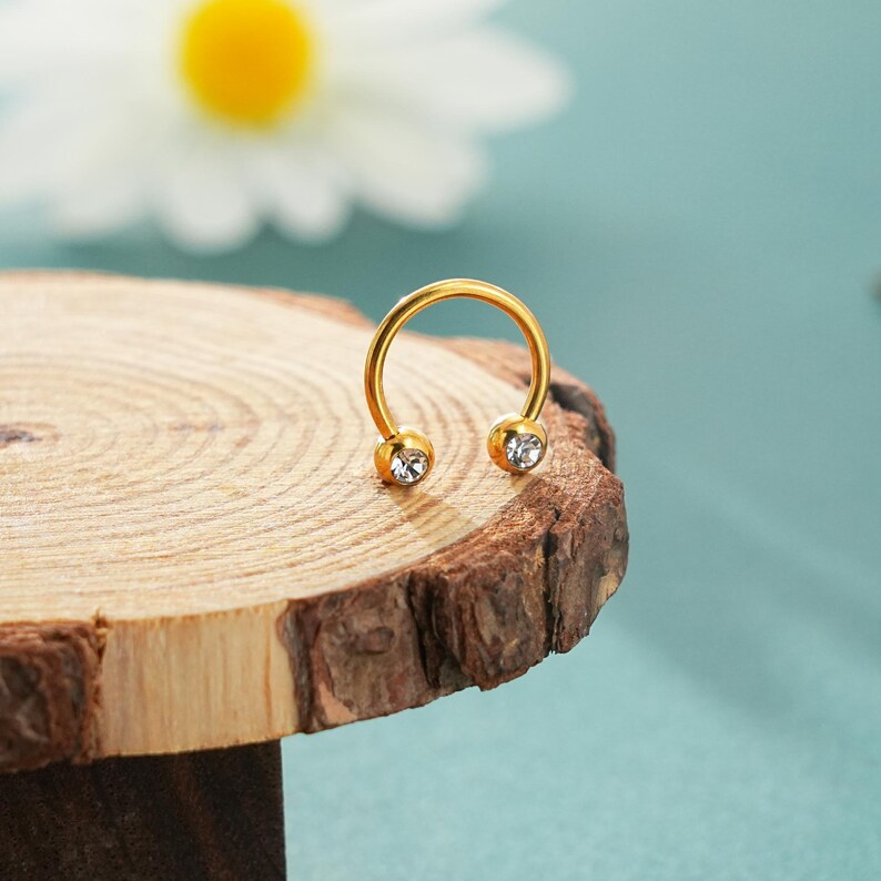 10mm Gold Internally Threaded Septum Ring/horseshoe Barbell/cbr/nose ...