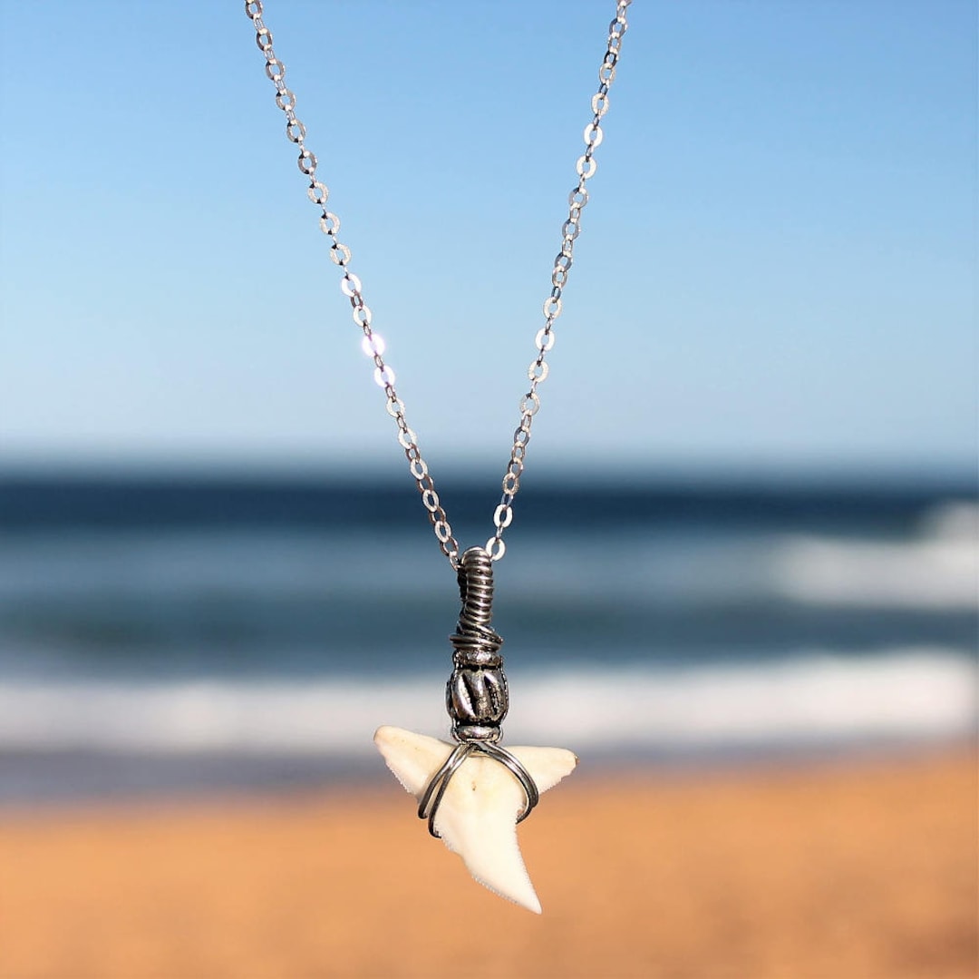 Natural Real Australian Sharks Tooth Necklace // Beach Jewelry ...