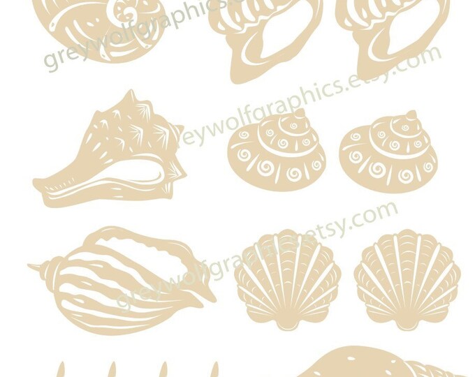 Seashells Wall Decal Set of 15 Beach Themed Wall Decor - Etsy