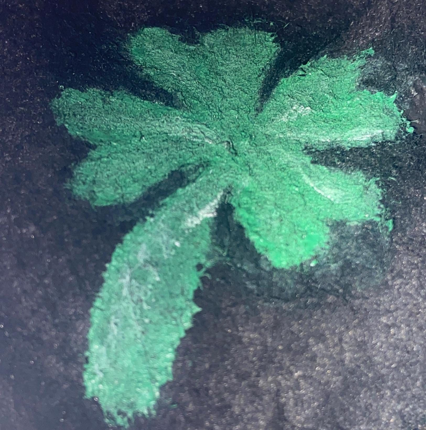 Fully Lined and Handmade Lucky Black Cat Cat Mask / Animal Mask ...