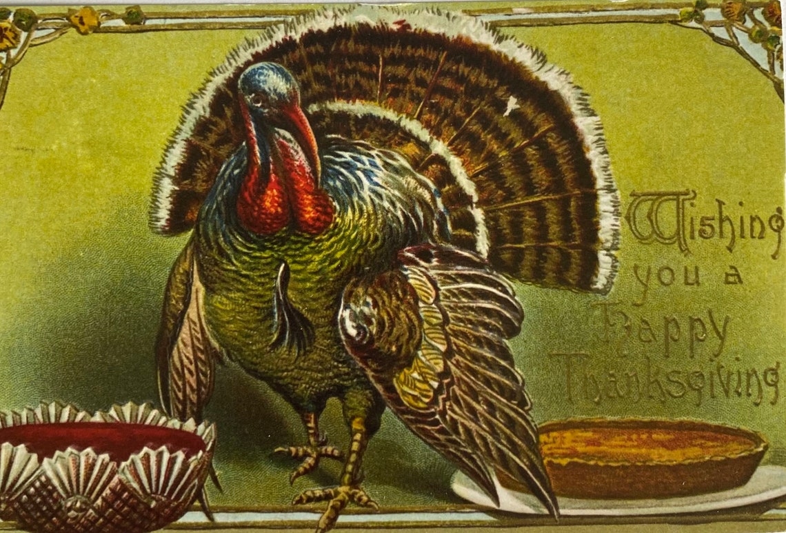 Five Tom Turkey Thanksgiving Cards - Etsy