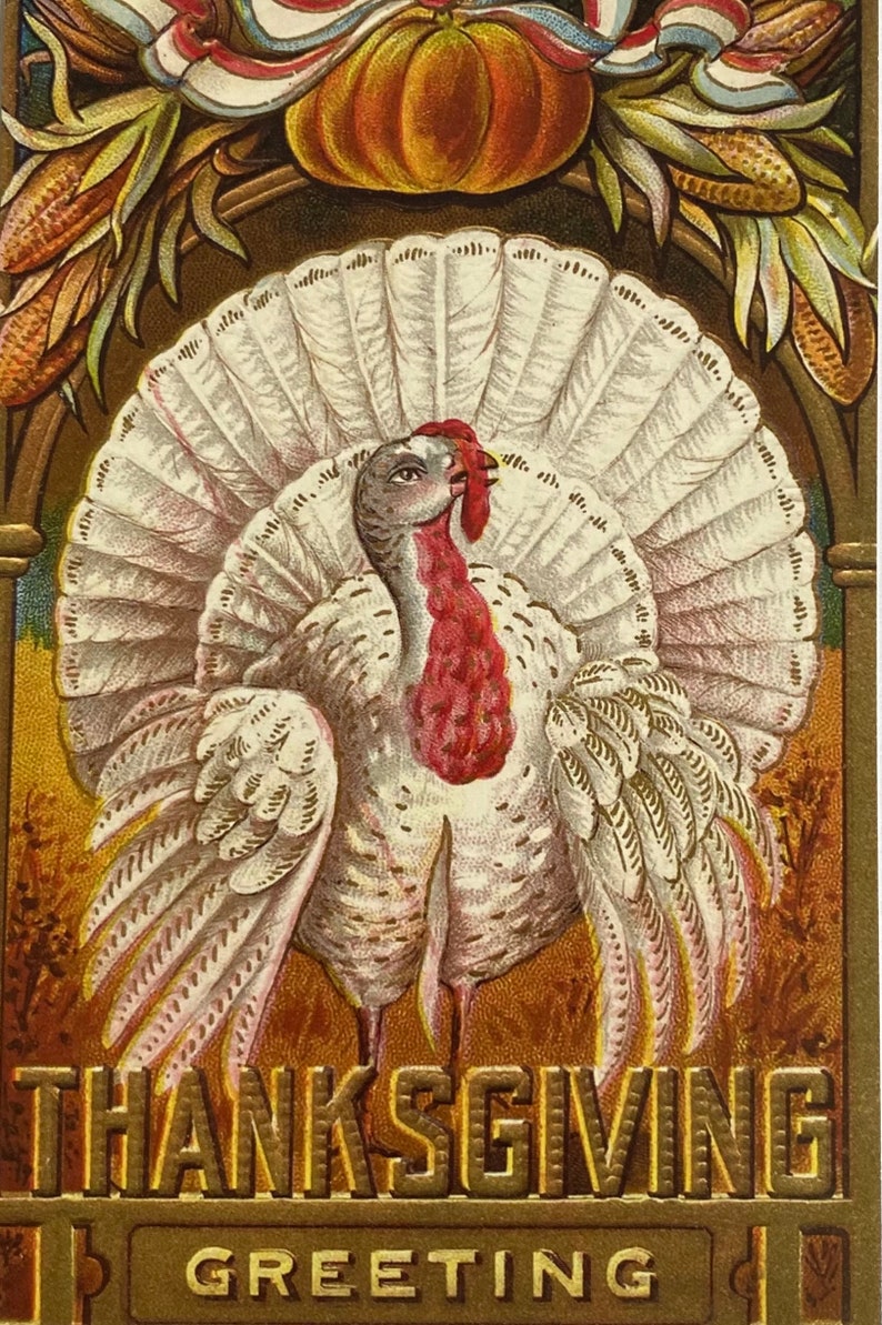 Five Tom Turkey Thanksgiving Cards - Etsy