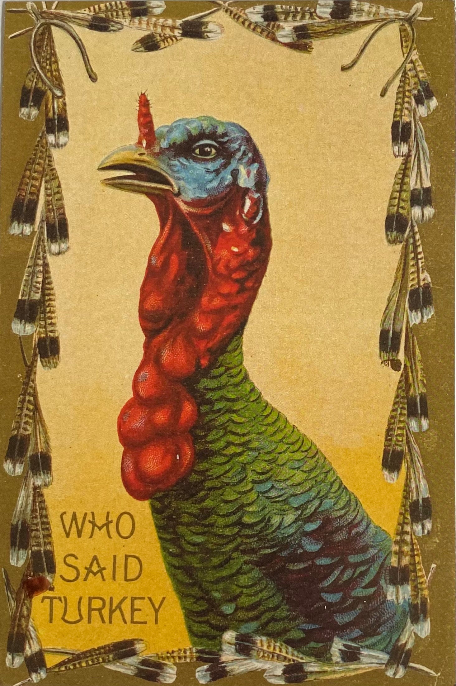 Five Tom Turkey Thanksgiving Cards - Etsy