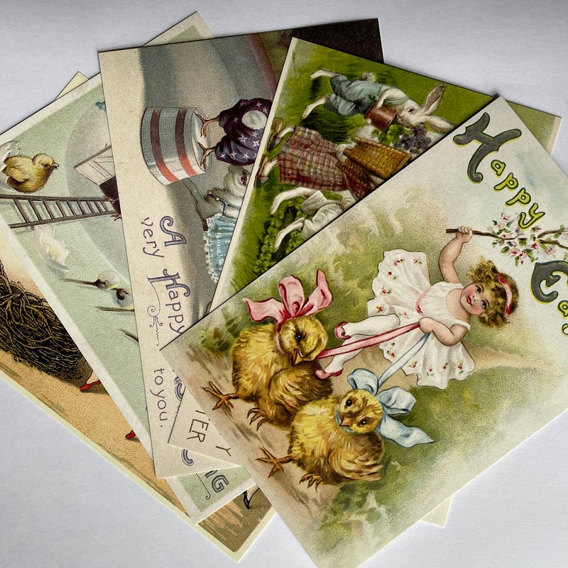 Rabbit Postcard - Etsy