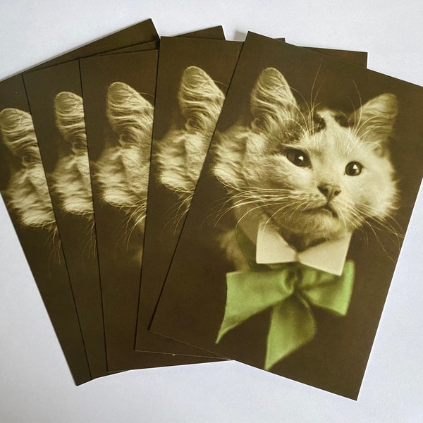 Vintage Cat Postcard - Etsy