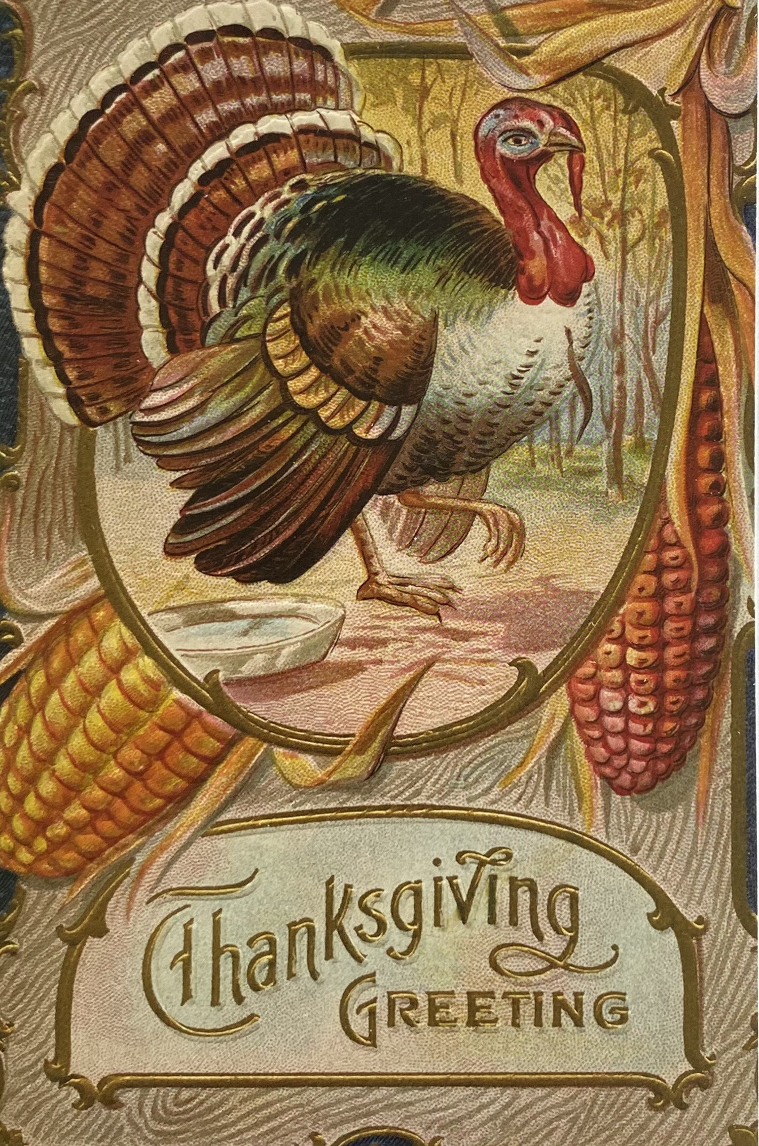Five Tom Turkey Thanksgiving Cards - Etsy