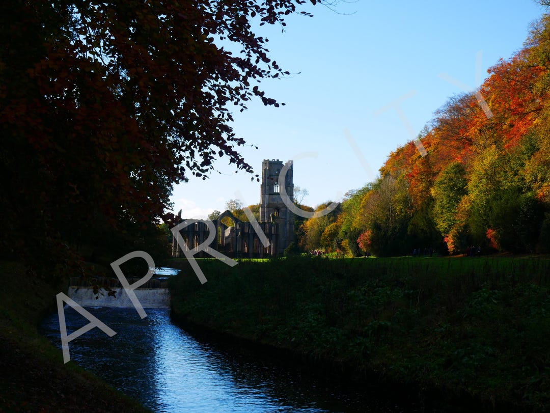 Garden of the Abbey Photography Print Landscape Art Print Home Decor ...