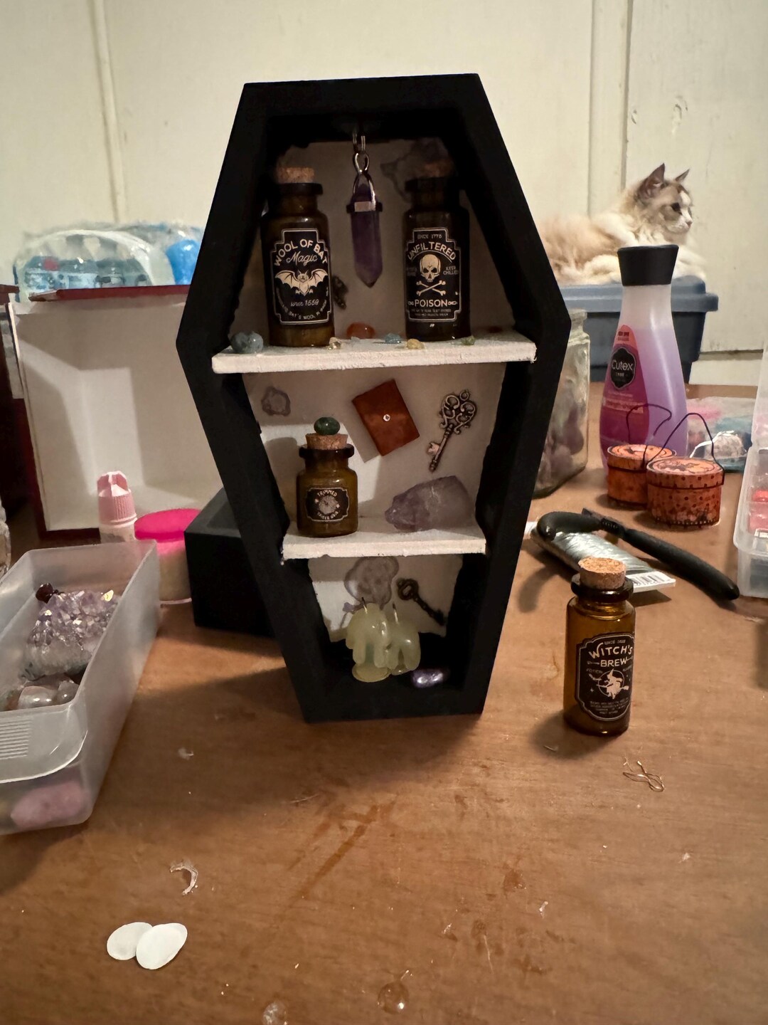 Witches Potions Shelf Set in a Miniature Coffin - Etsy
