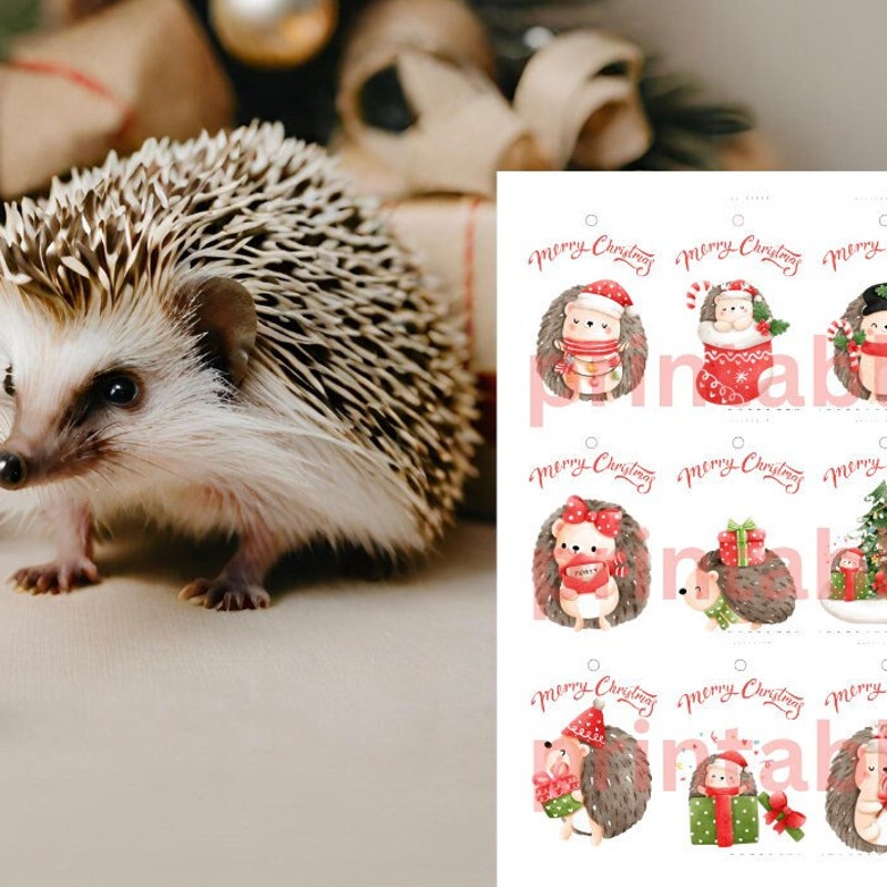 teresaphillips - Etsy