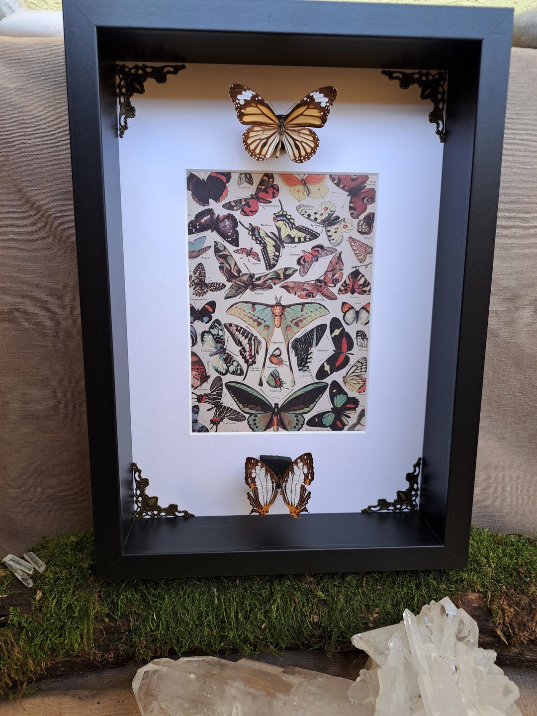 Picture Frame With Lithograph Background and 2 Butterflies - Etsy