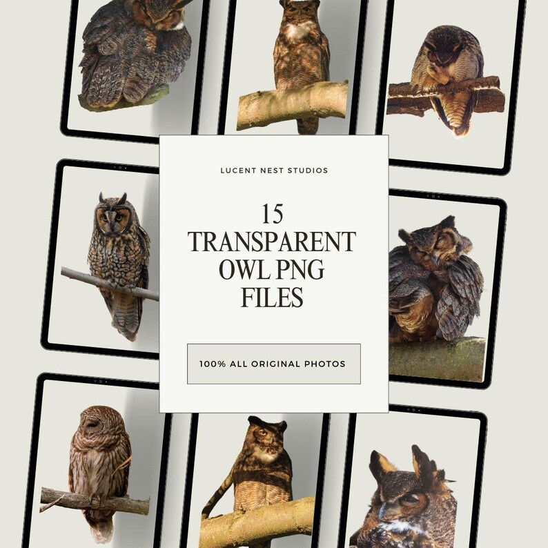 15 Overlays for Photoshop, Canva, Transparent Backgrounds, Bird Overlay ...