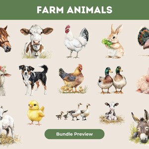 Farm Animals Watercolor Clipart Bundle: Rustic Homestead PNG (digital ...