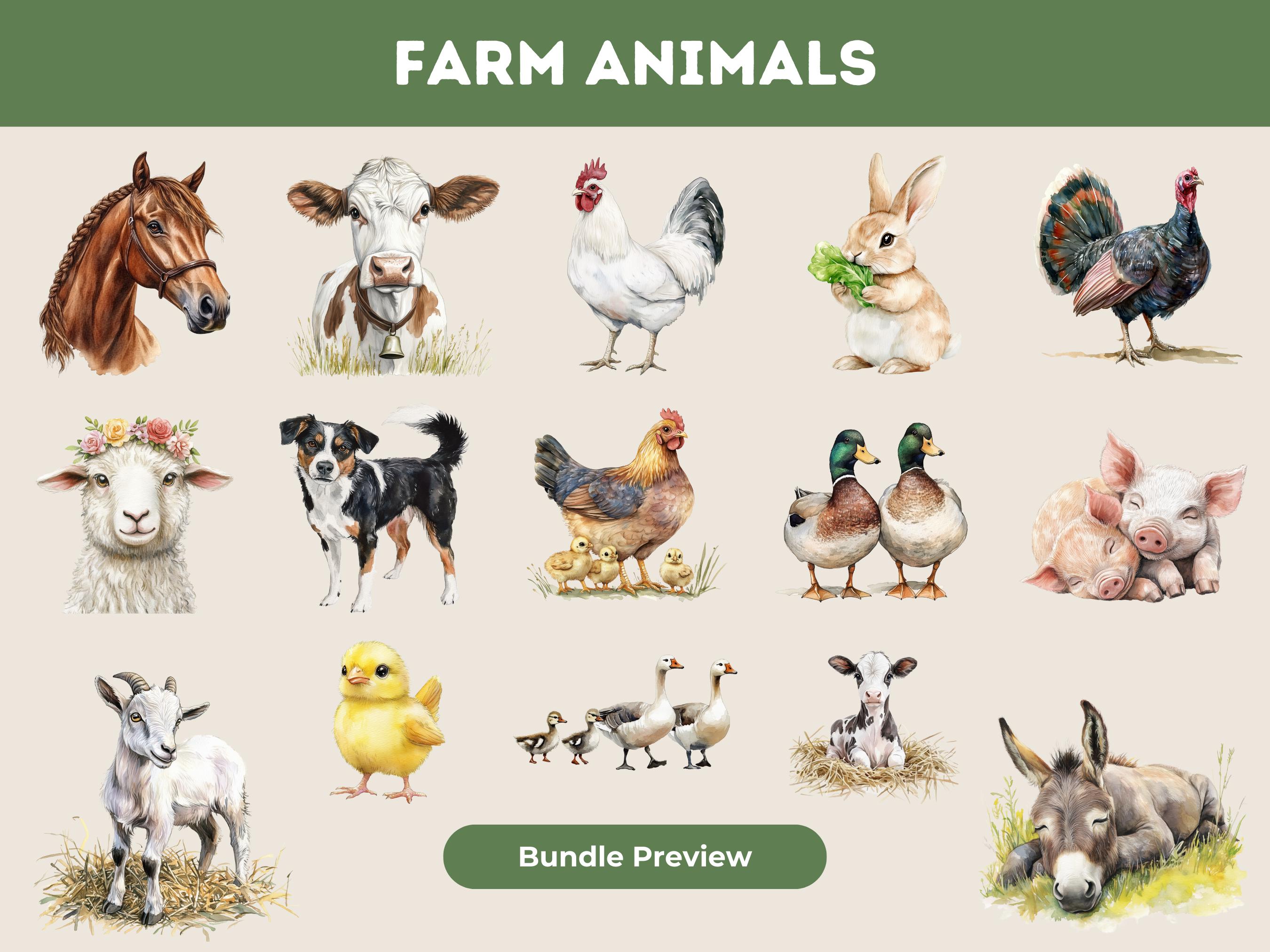 Farm Animals Watercolor Clipart Bundle: Rustic Homestead PNG (digital ...