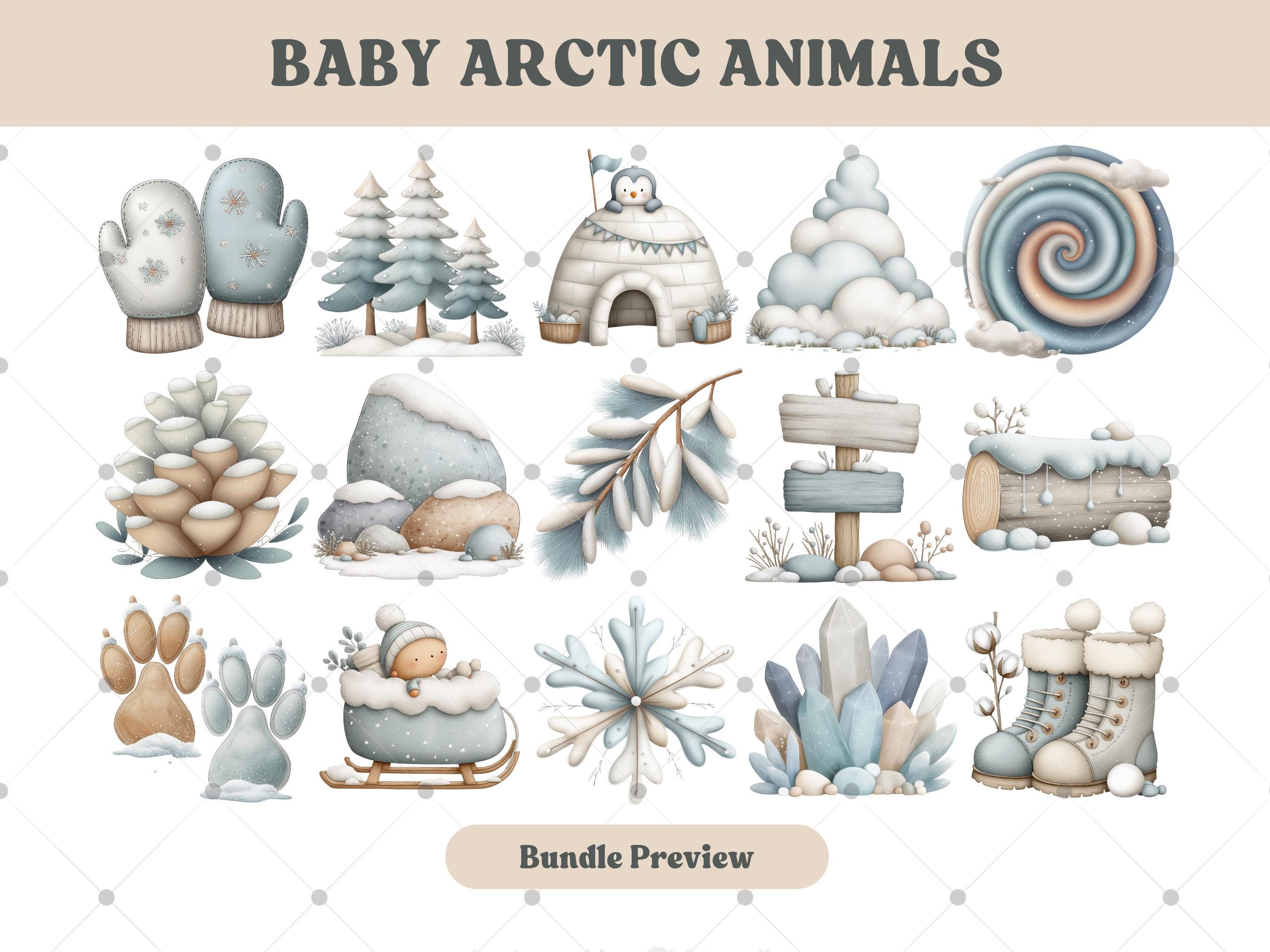 Baby Arctic Animals Clipart: Watercolor Winter Nursery Decor (50 PNG ...
