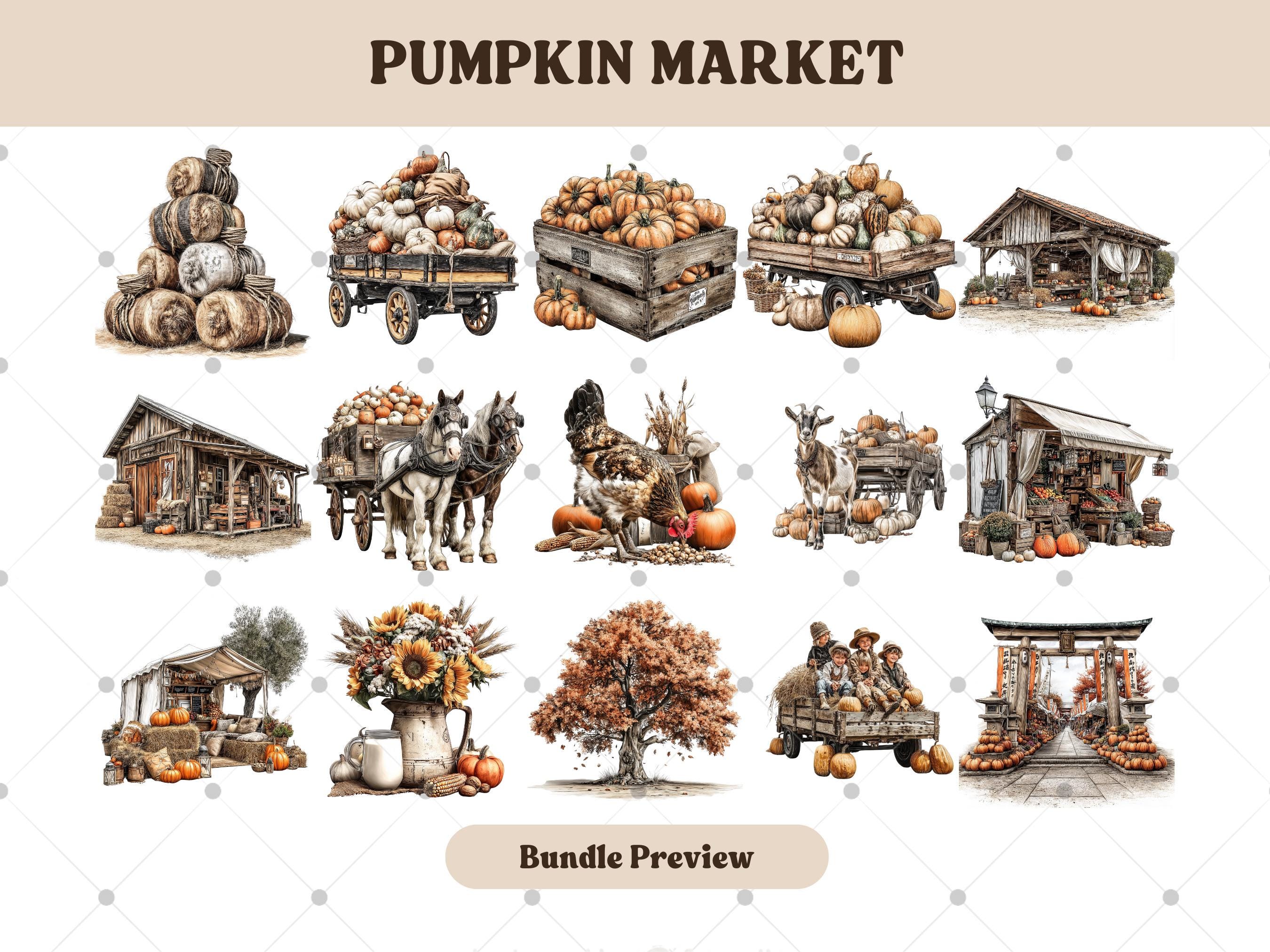 Watercolor Pumpkin Market Clipart Bundle: Fall Harvest PNG (105 ...