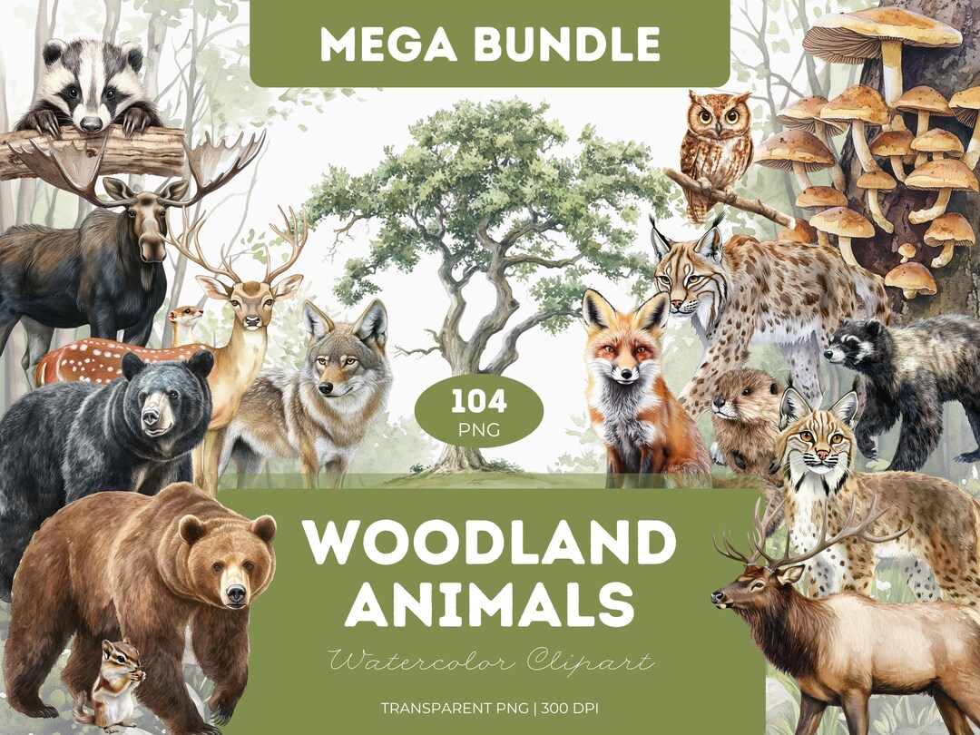 Watercolor Woodland Animals Clipart: Forest Wildlife PNG (digital ...