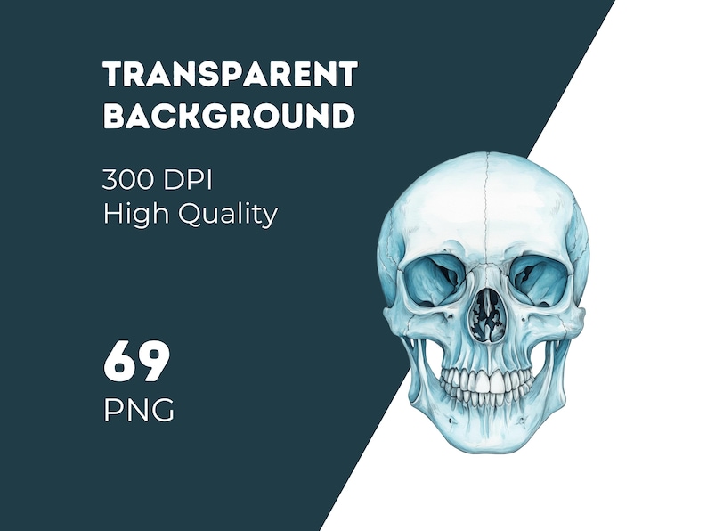 Watercolor Human Anatomy Clipart: Skeleton, Organs, Biology (PNG ...