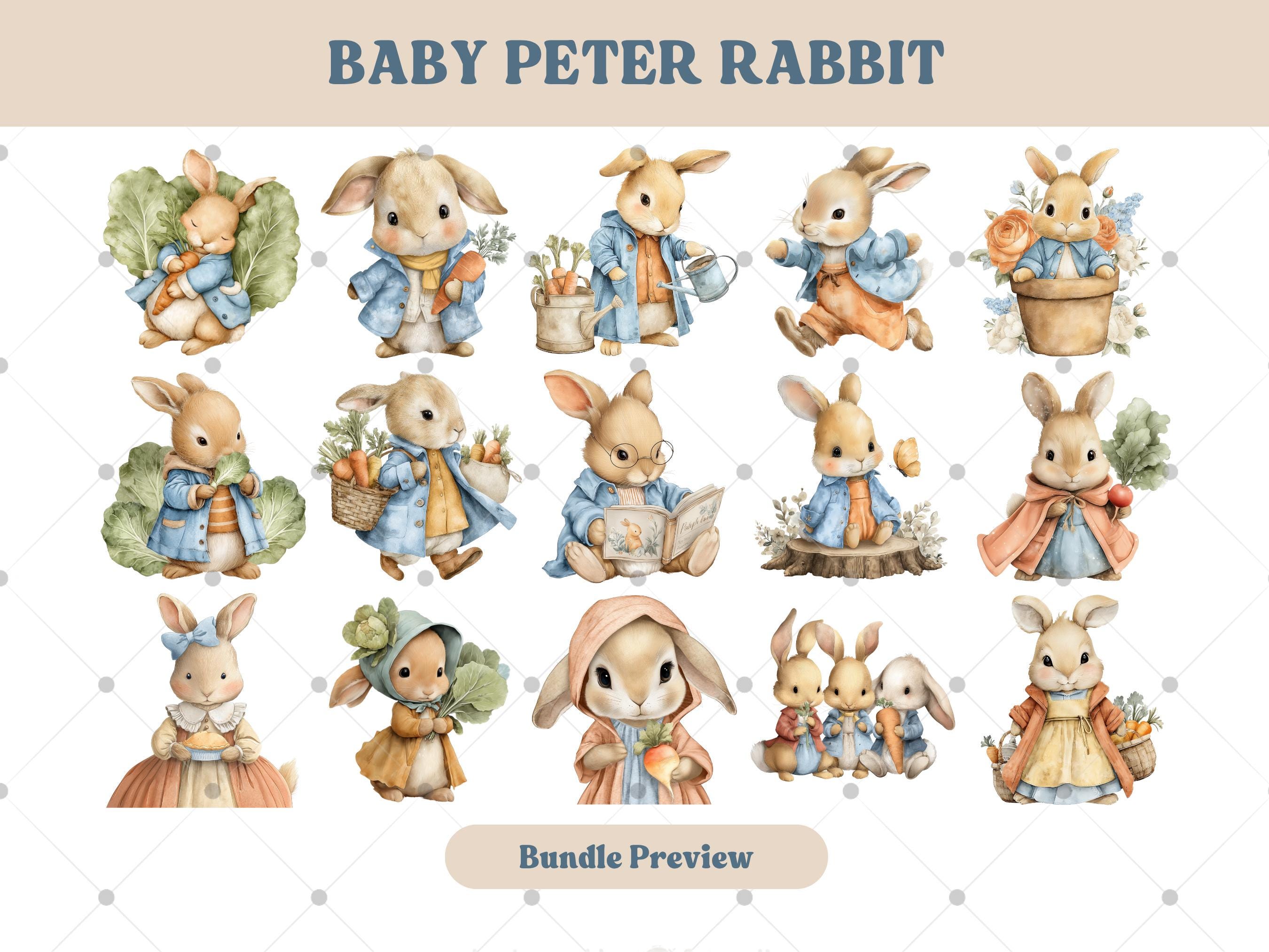 Peter Rabbit Watercolor Clipart: Baby Bunny, Nursery Art (50 PNG) - Etsy
