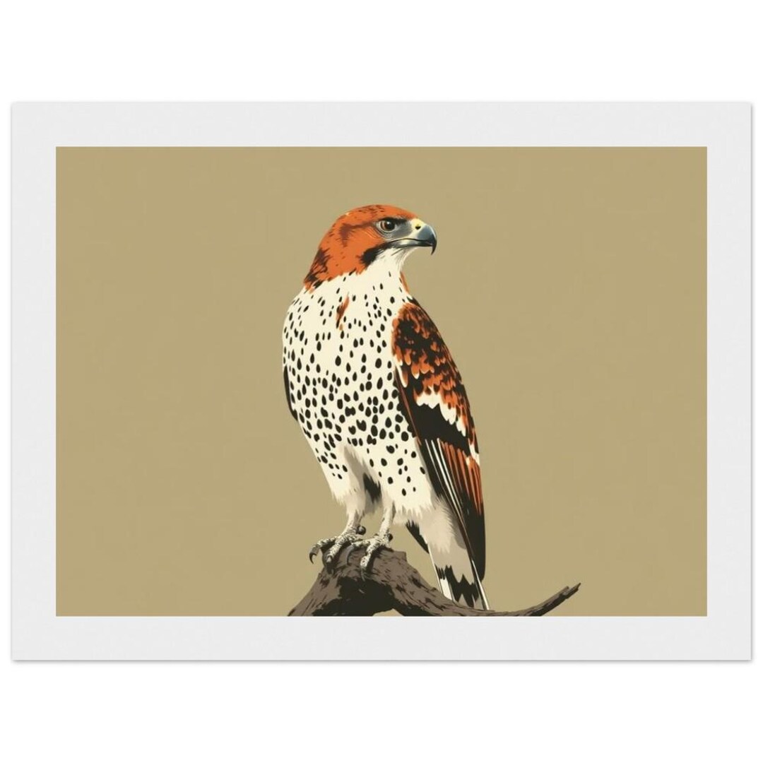 Hawk Print | Midcentury Hawk Poster | Hawk Art| Framed Poster | Hawk ...