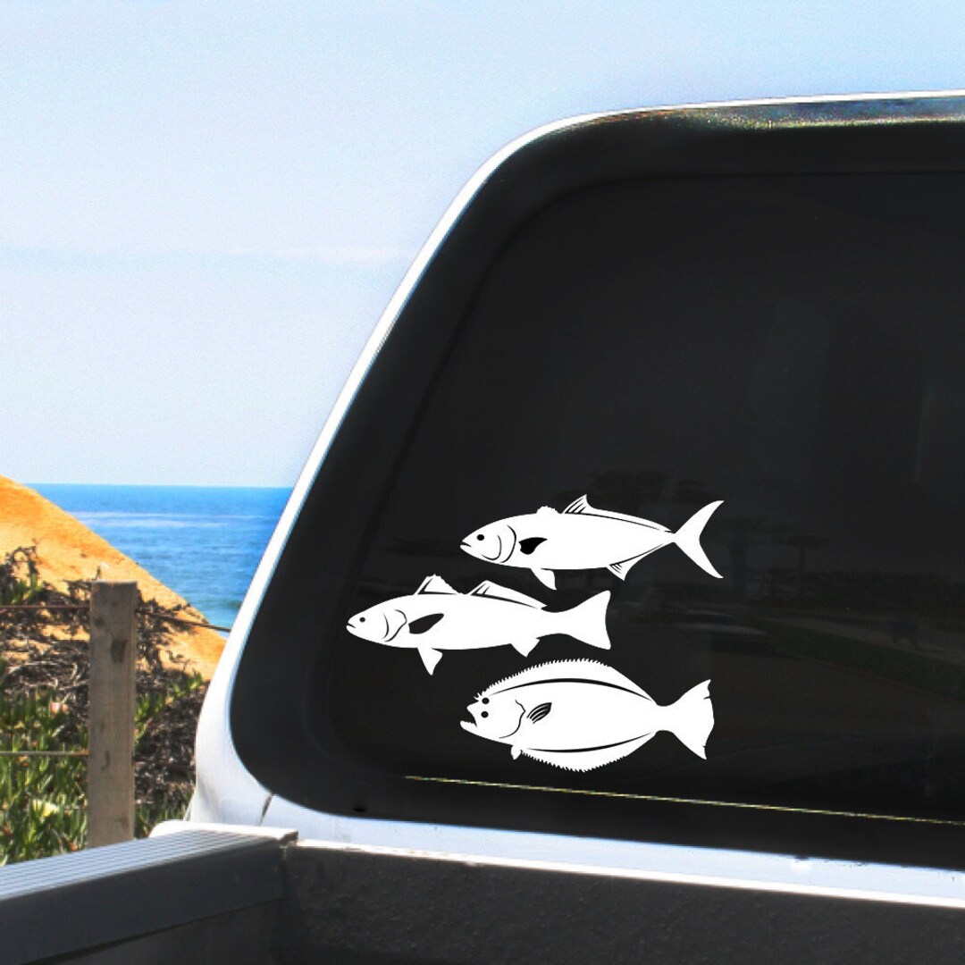 Pacific Inshore Slam - White Seabass, Yellowtail, Halibut, Dorado ...