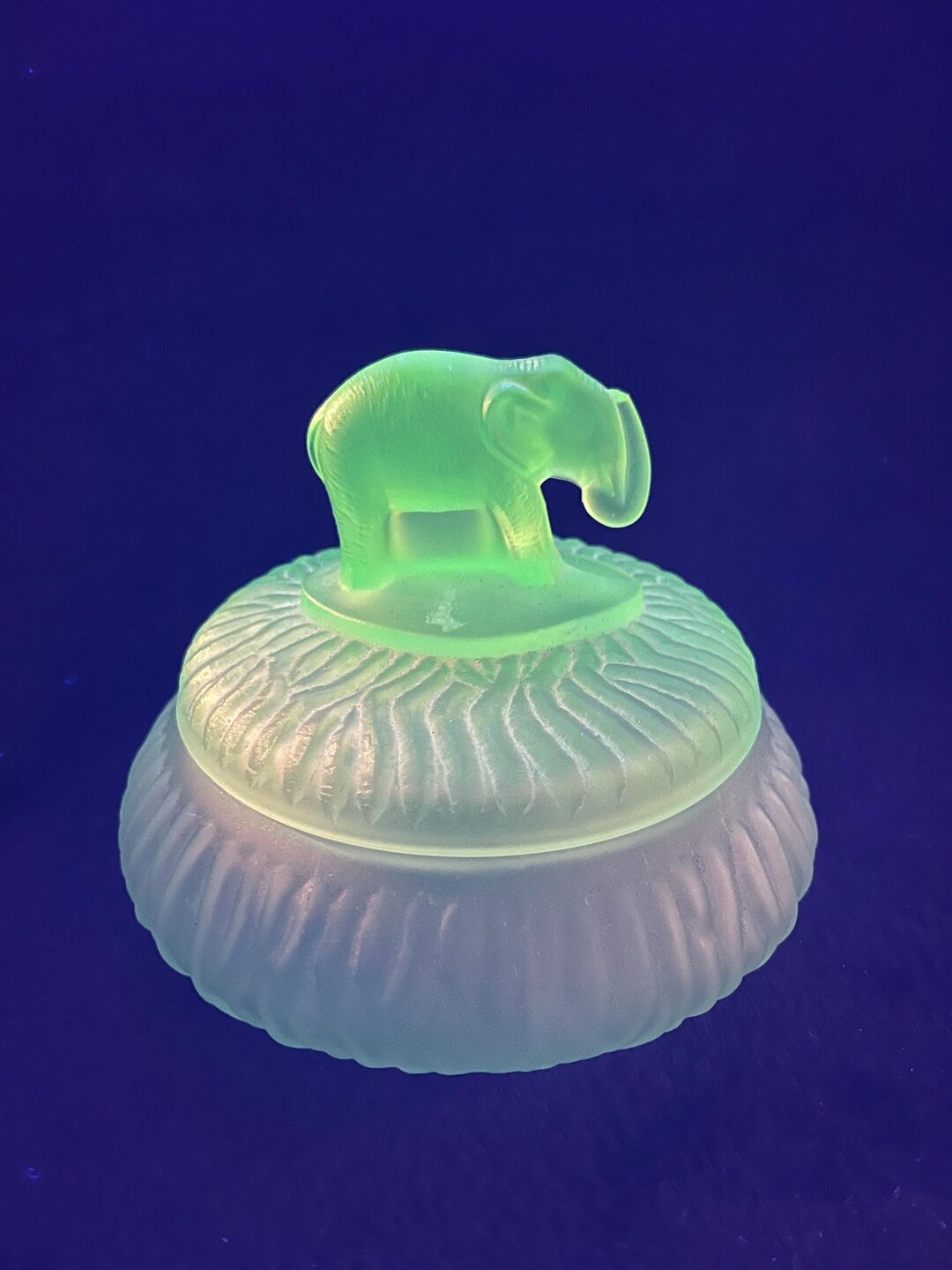 Vintage Uranium Glass 1920’s Frosted Elephant Powder Dish RARE - Etsy