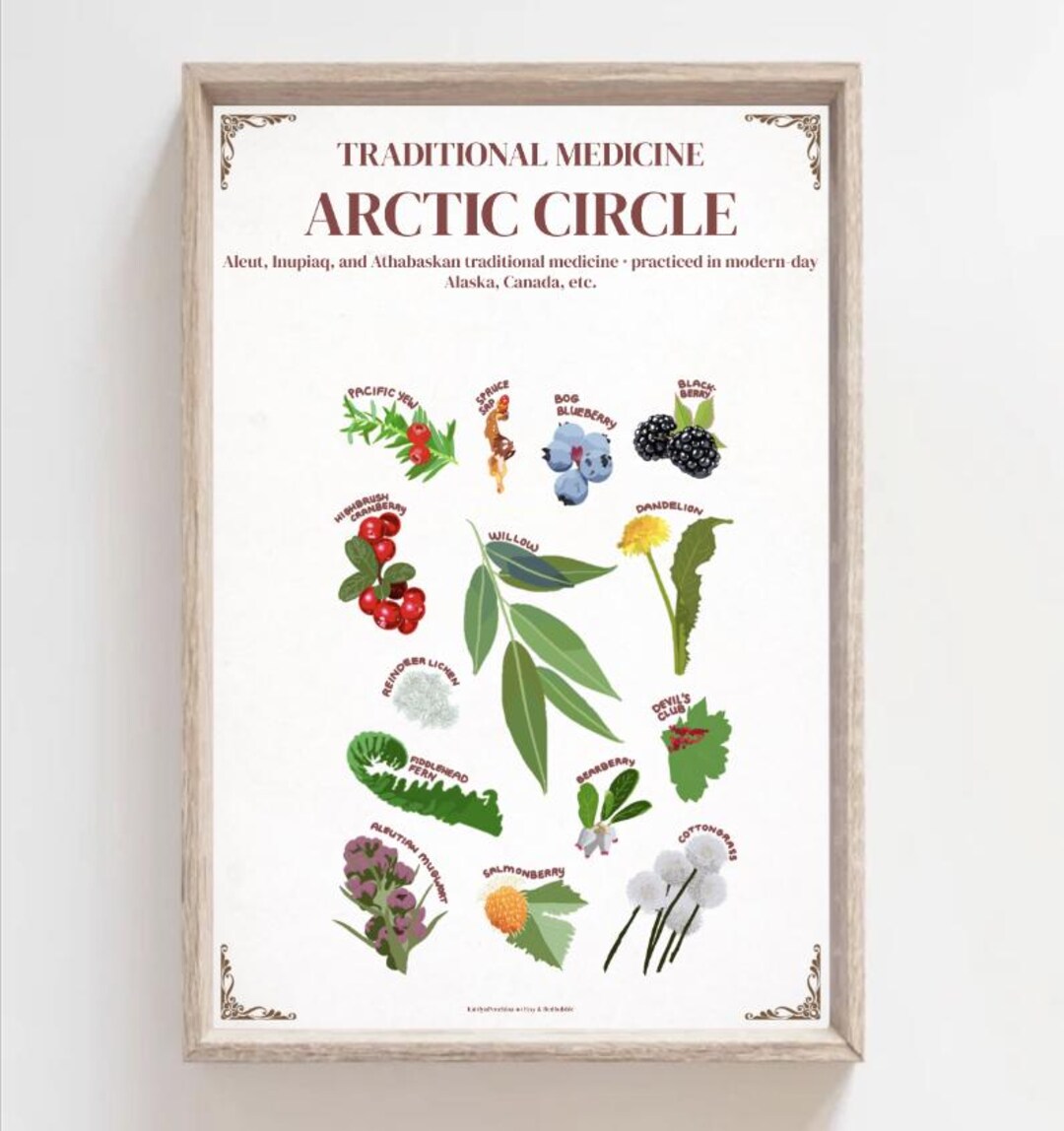Traditional Medicine: Arctic Circle - Etsy
