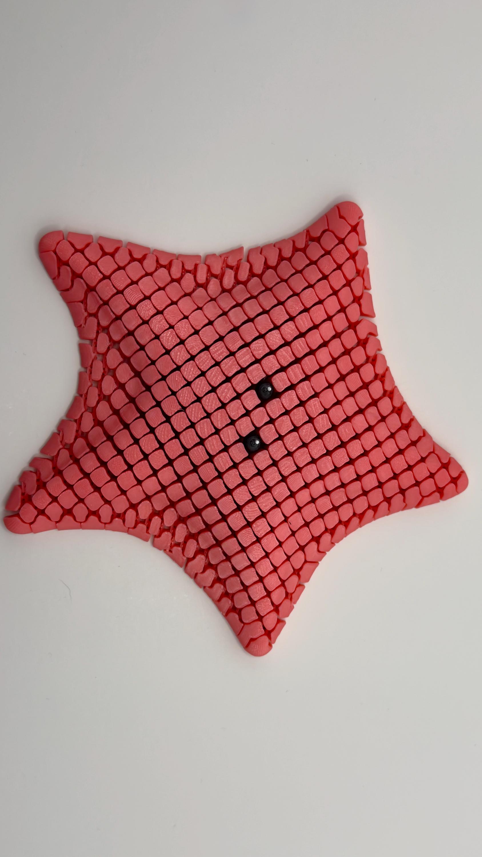 3D Printed Starfish Fidget Toy: Sensory Stress Relief - Etsy