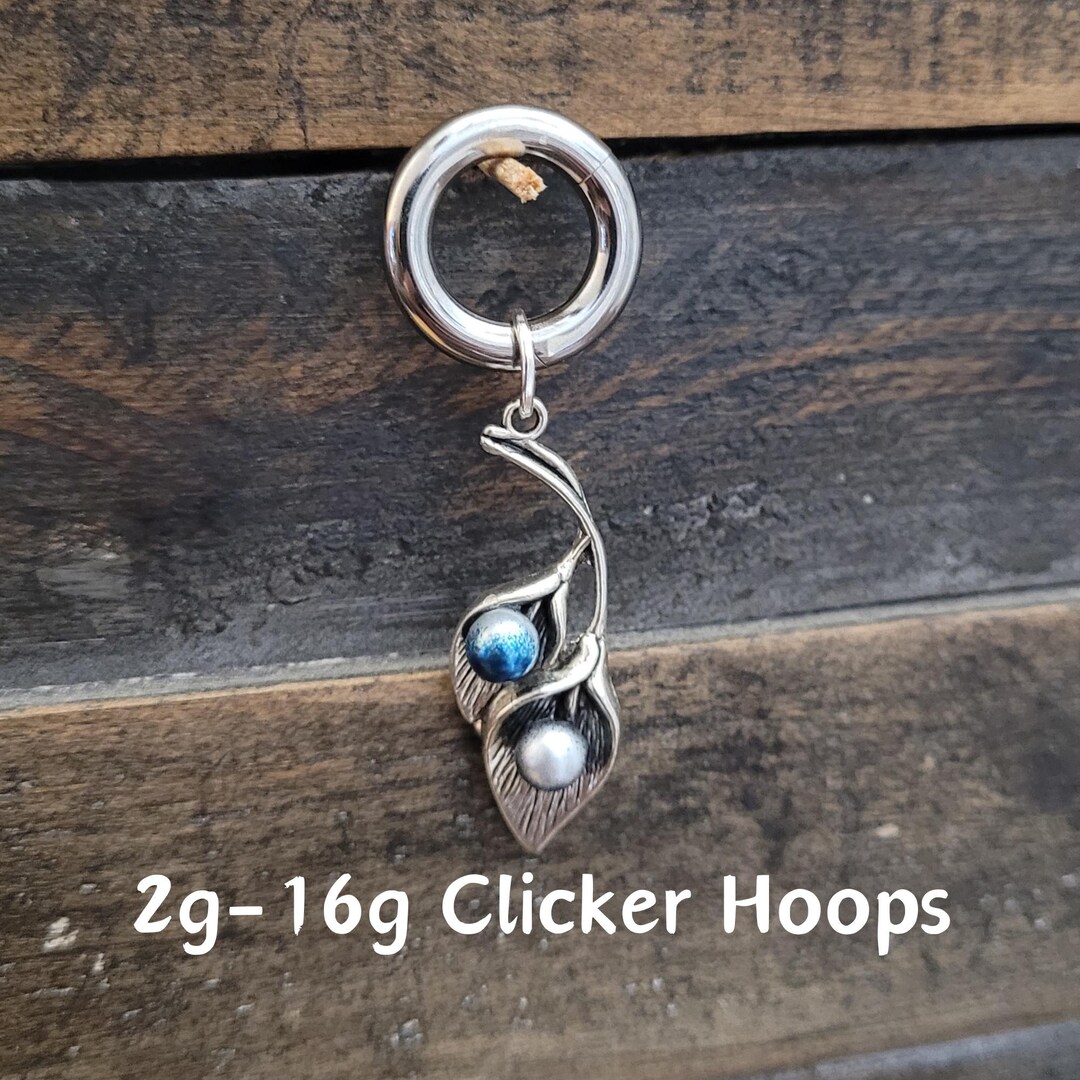 Fairy Clicker Hoop Ring Single 2g 4g 6g 8g 10g 12g 14g 16g Punk Gauges Earring Piercing Ear ...