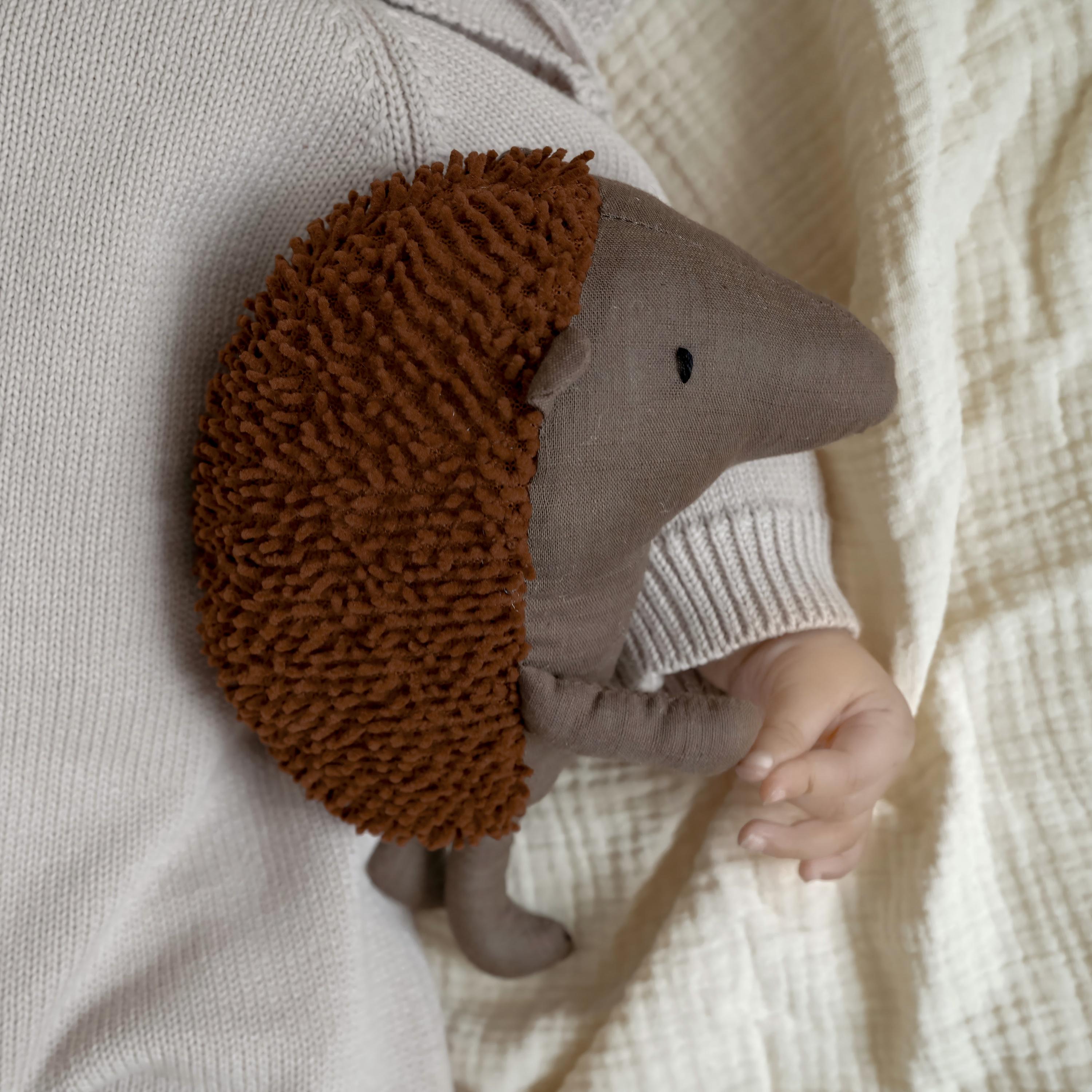 Hazel the Hedgehog Plush Toy – Soft Cotton Woodland Animal for Kids ...