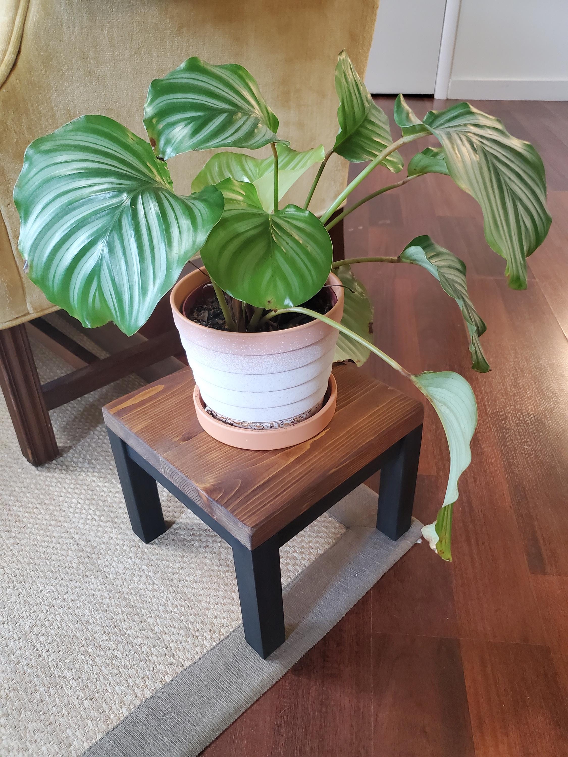 Rustic Modern Wooden Plant Riser – Handmade Plant Stand | Indoor Plant ...