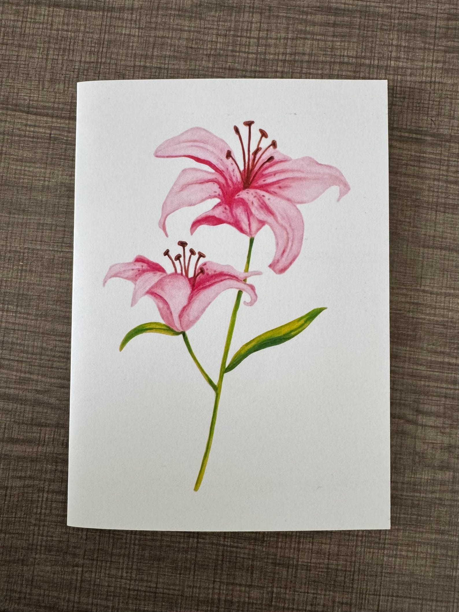 Pink Lily Card / Birthday Card - Etsy