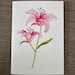Pink Lily Card / Birthday Card - Etsy