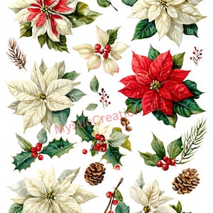 Poinsettia Christmas Poinsettia Pinecone Bundle #675, Letter Size Rice ...