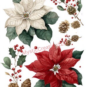Poinsettia Christmas Poinsettia Pinecone Bundle #675, Letter Size Rice ...