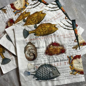 Ocean Themed Napkin for Decoupage, Fish Shell Lobster Sea Star Napkin ...