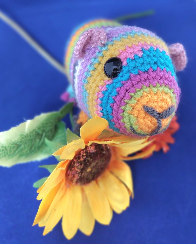 Realistic Guinea Pig Crochet Pattern PDF 2 Patterns Included Accurate ...
