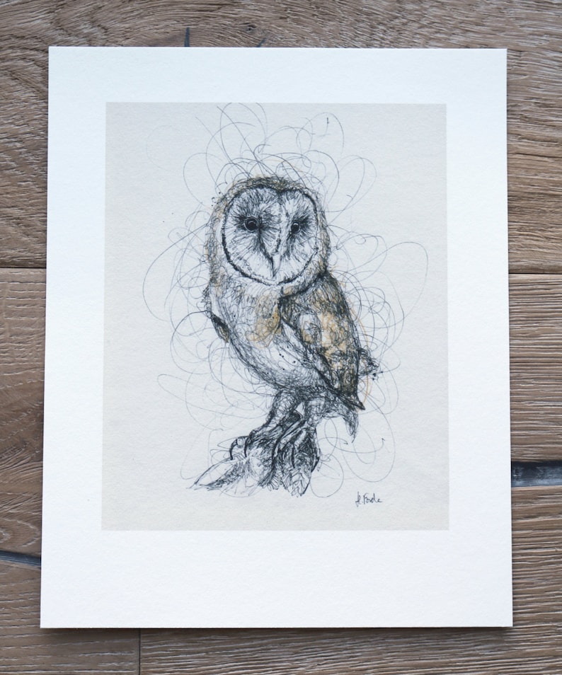 Barn Owl Pen and Ink Illustration Print Limited Edition - Etsy UK