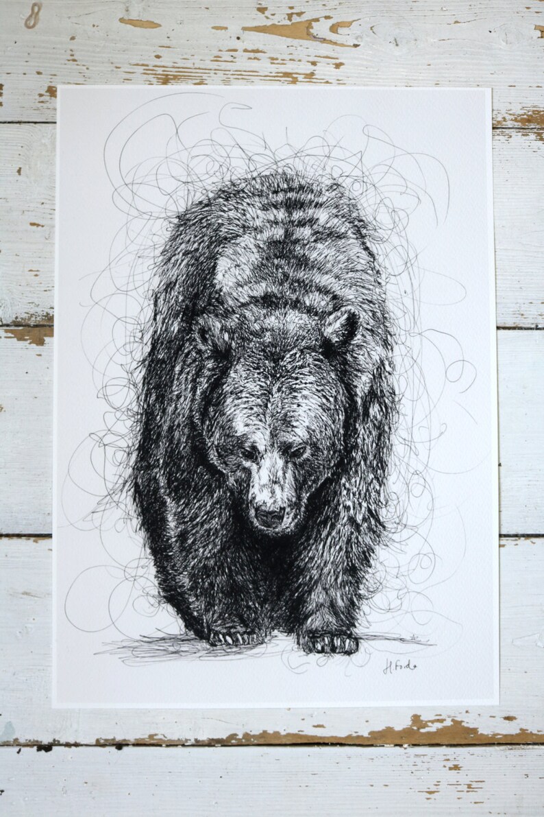 Grizzly Bear A3 Pen and Ink Illustration Print Limited Edition - Etsy
